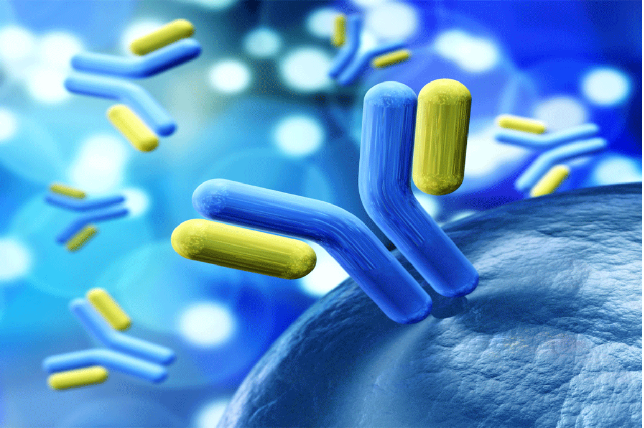 Lifeline Diagnostics Supplies, Inc.