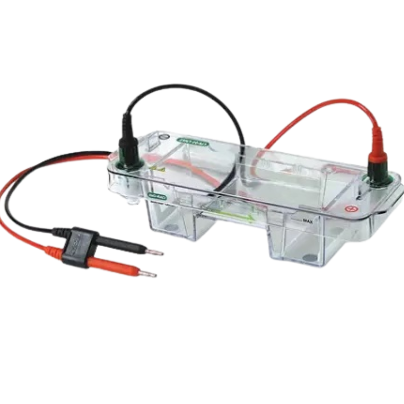 Lifeline Diagnostics Supplies, Inc.