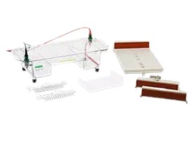 Sub-Cell GT Horizontal Electrophoresis System, 15 x 10 cm tray, with ...
